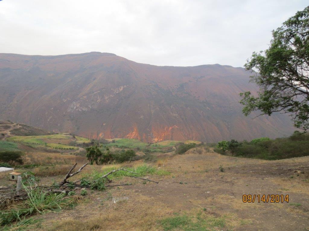 1000 Square Meter Lot - Ecuador Real Estate - Lodge