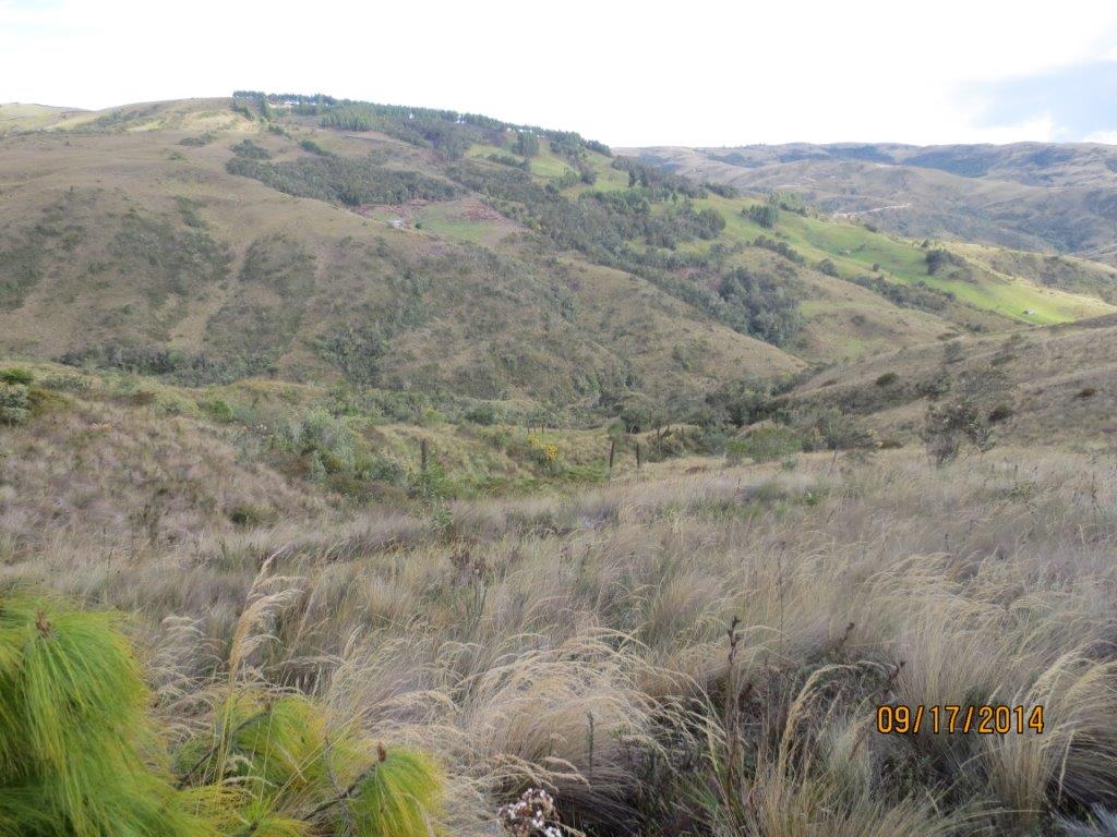 30 hectares on two separate parcels - Ecuador Real Estate - Lodge