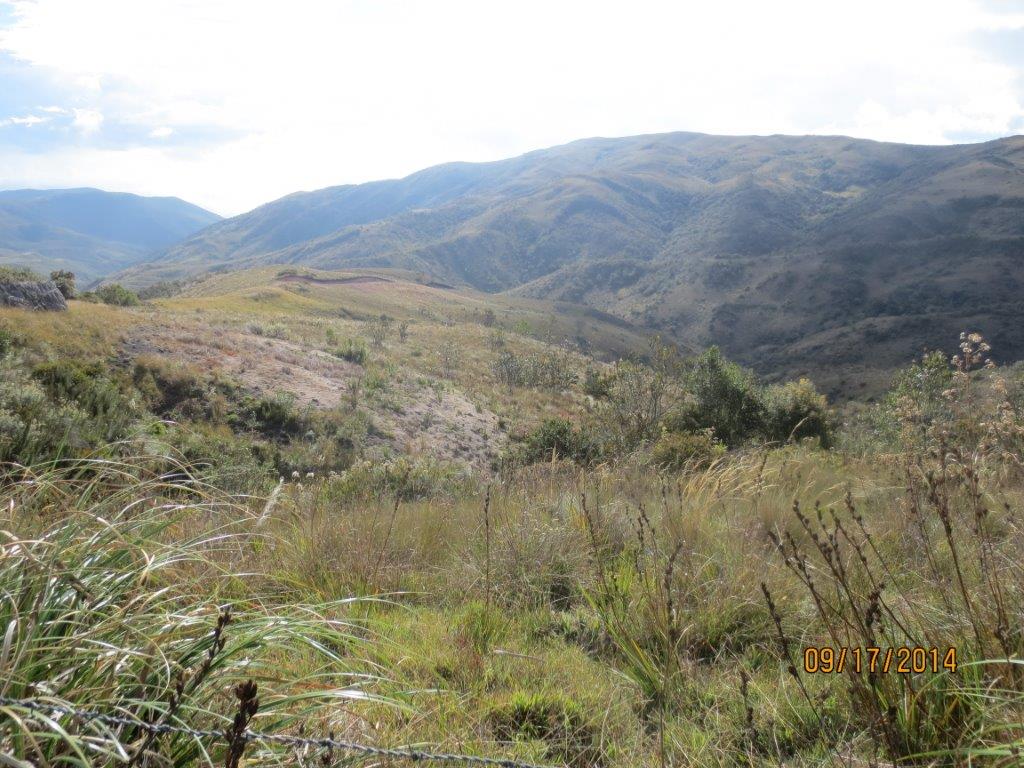 30 hectares on two separate parcels - Ecuador Real Estate - Lodge