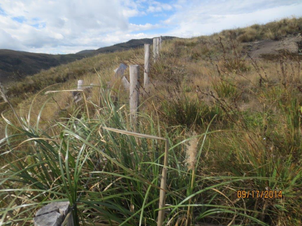 30 hectares on two separate parcels - Ecuador Real Estate - Lodge