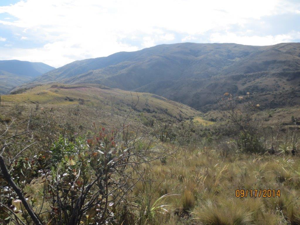 30 hectares on two separate parcels - Ecuador Real Estate - Lodge