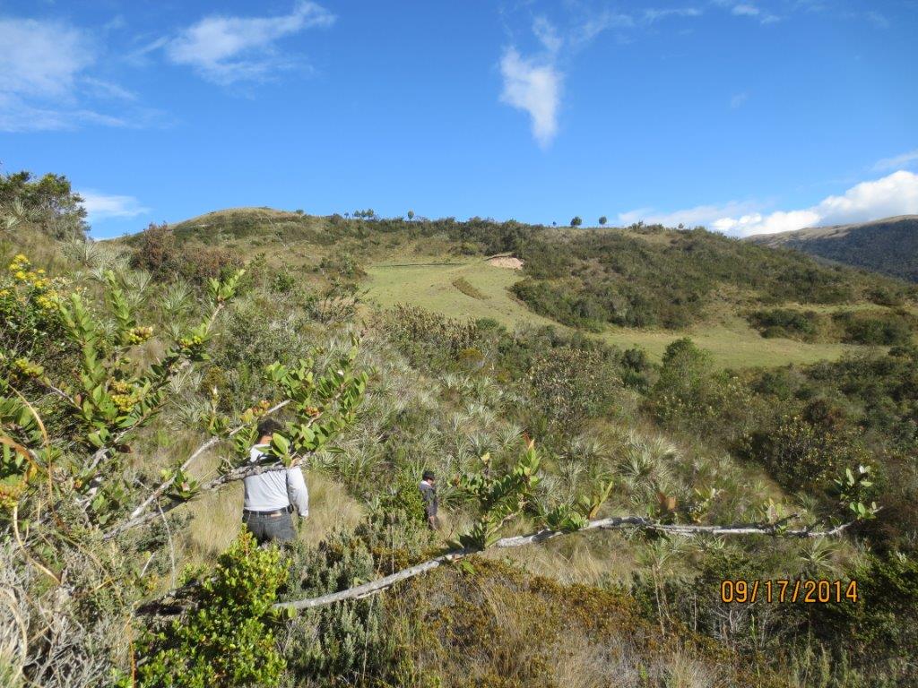 30 hectares on two separate parcels - Ecuador Real Estate - Lodge