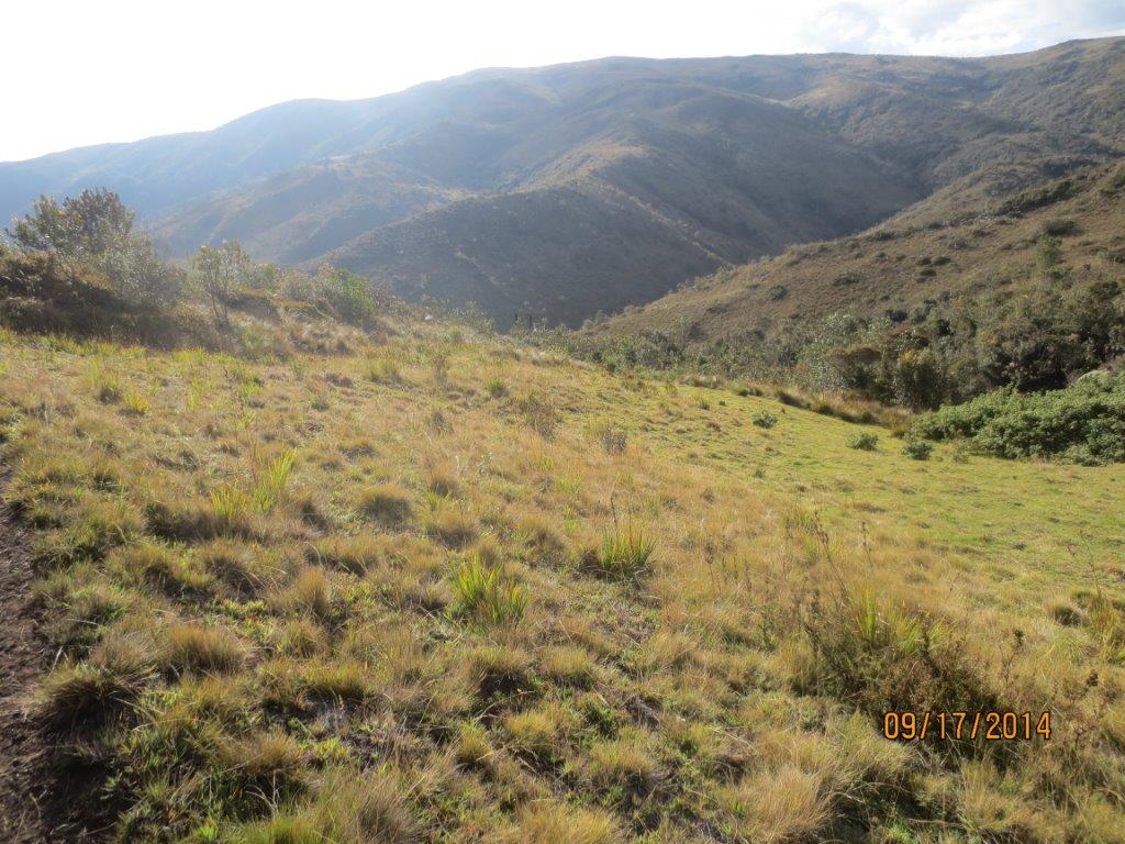 30 hectares on two separate parcels - Ecuador Real Estate - Lodge