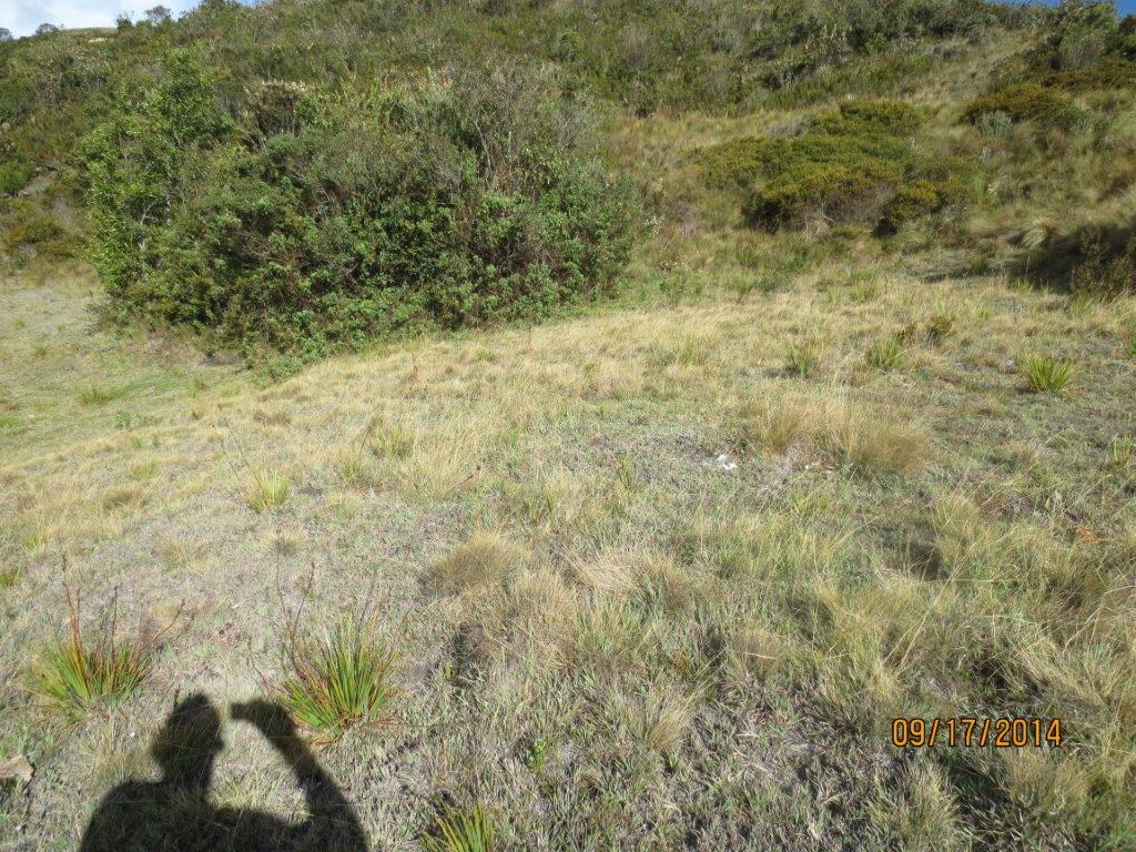 30 hectares on two separate parcels - Ecuador Real Estate - Lodge