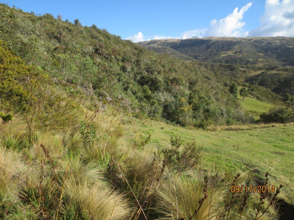 30 hectares on two separate parcels - Ecuador Real Estate - Lodge