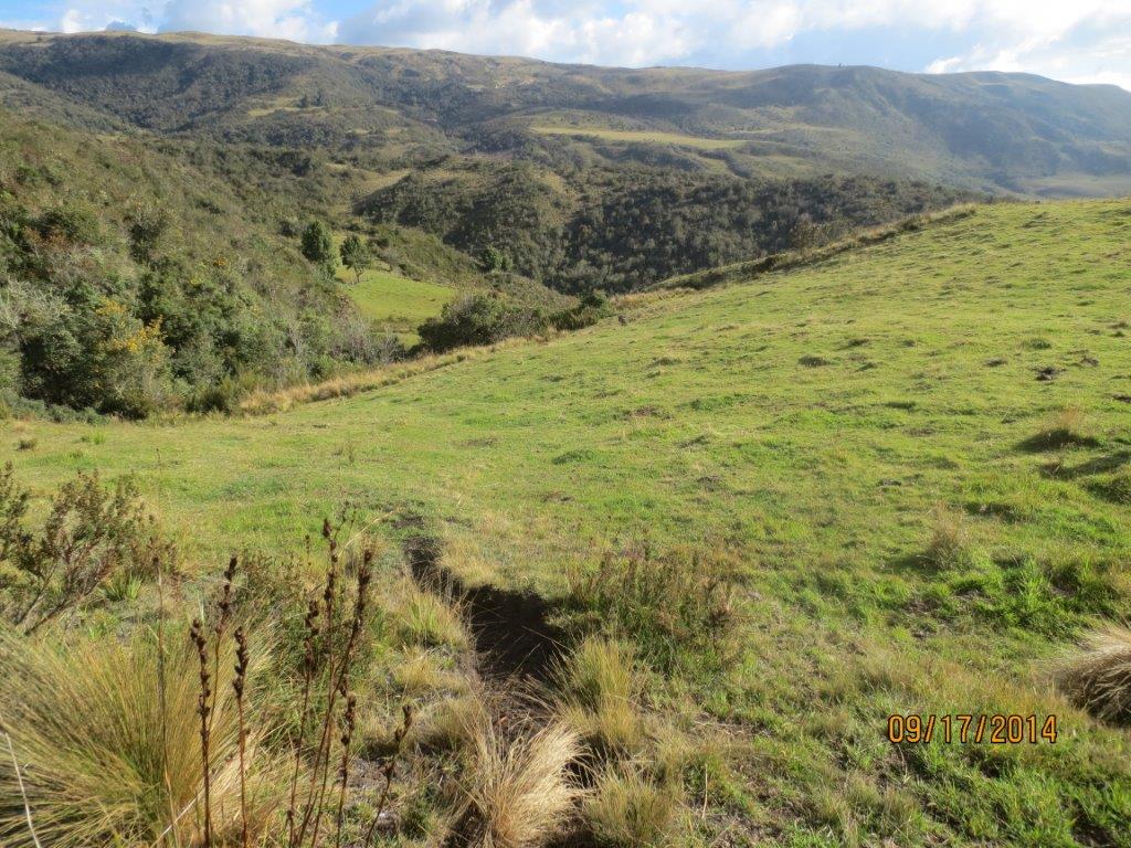 30 hectares on two separate parcels - Ecuador Real Estate - Lodge