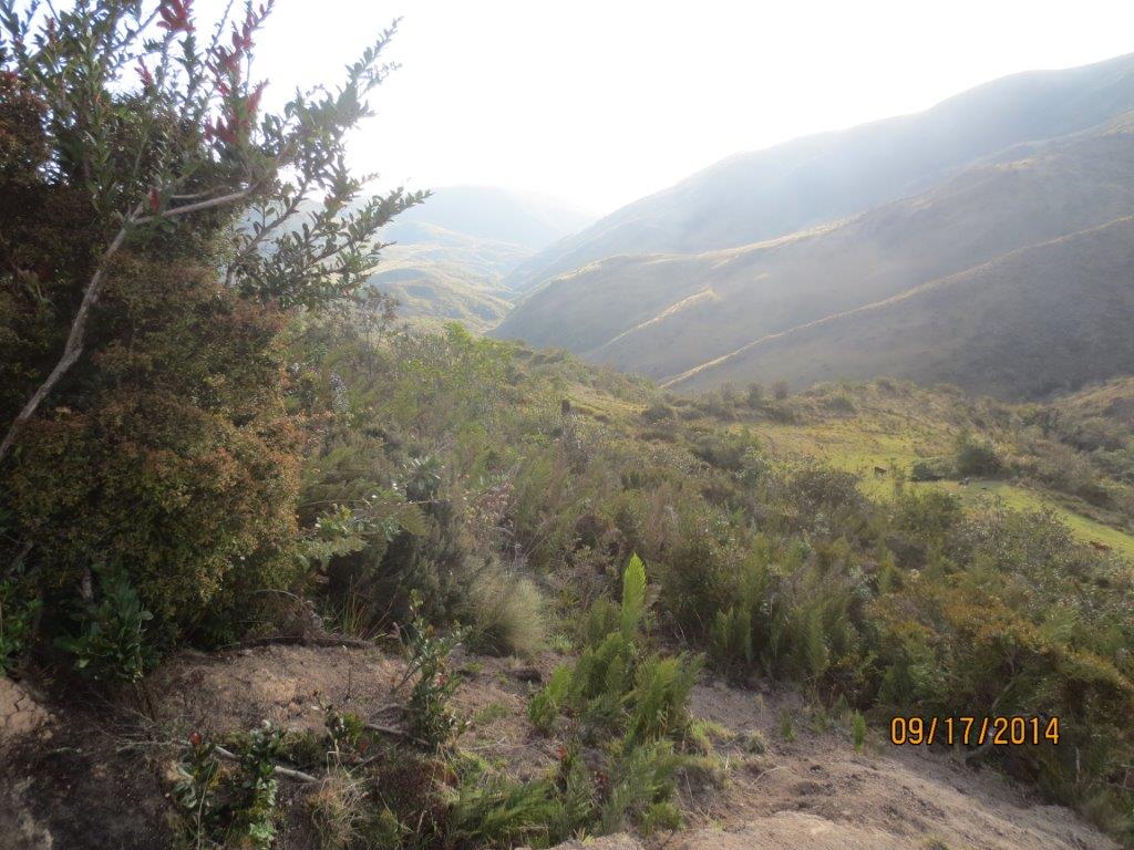 30 hectares on two separate parcels - Ecuador Real Estate - Lodge