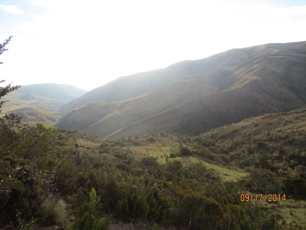 30 hectares on two separate parcels - Ecuador Real Estate - Lodge