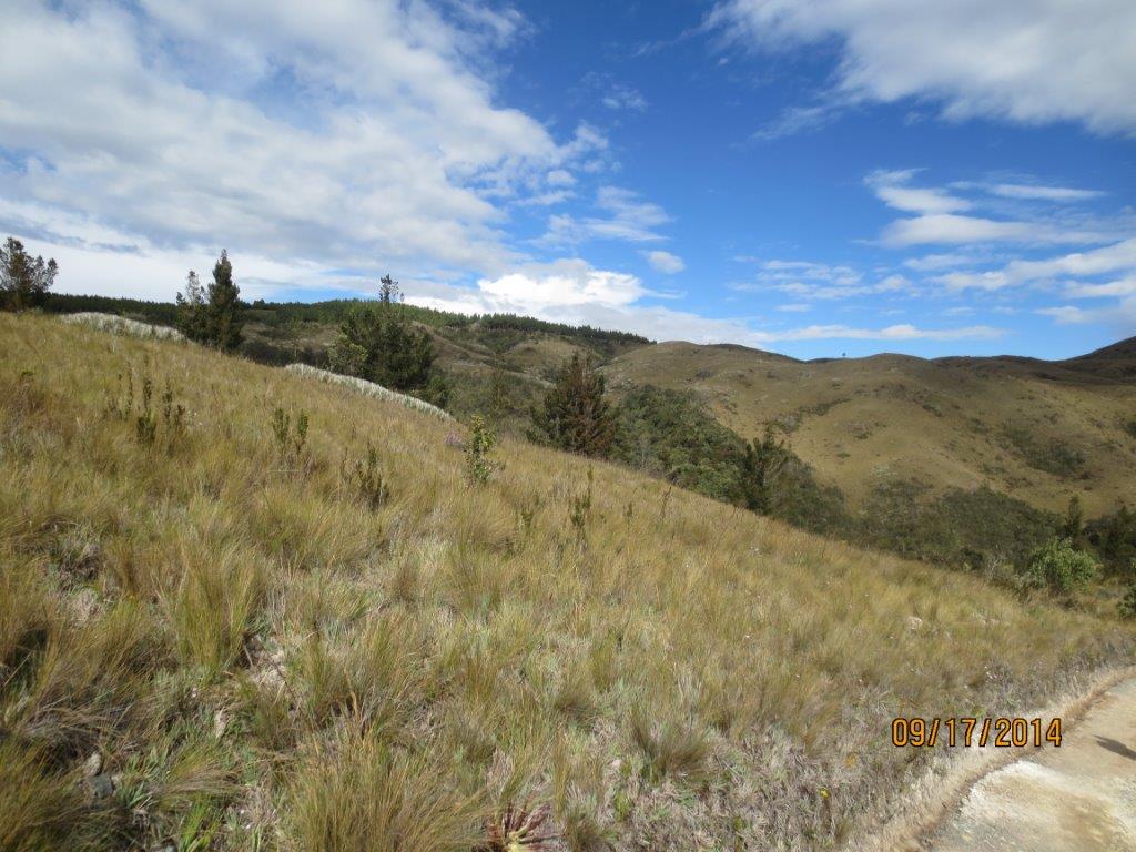 30 hectares on two separate parcels - Ecuador Real Estate - Lodge