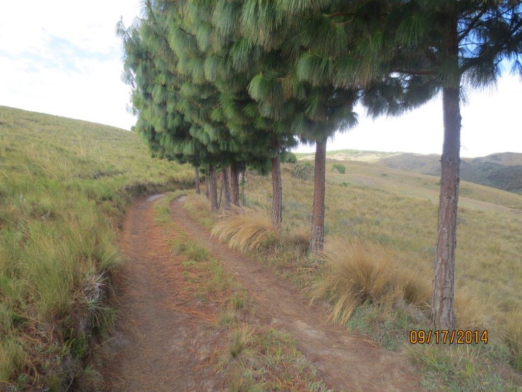 30 hectares on two separate parcels - Ecuador Real Estate - Lodge