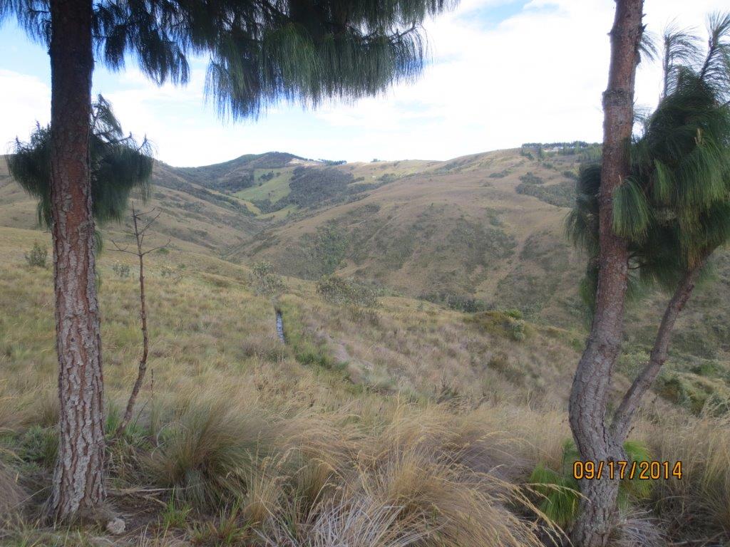 30 hectares on two separate parcels - Ecuador Real Estate - Lodge