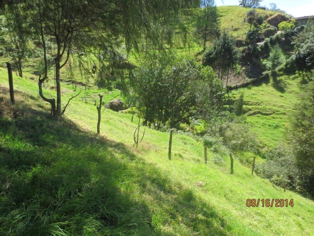 Beautiful 4 hectares irrigated land just outside Giron – SOLD - Ecuador ...
