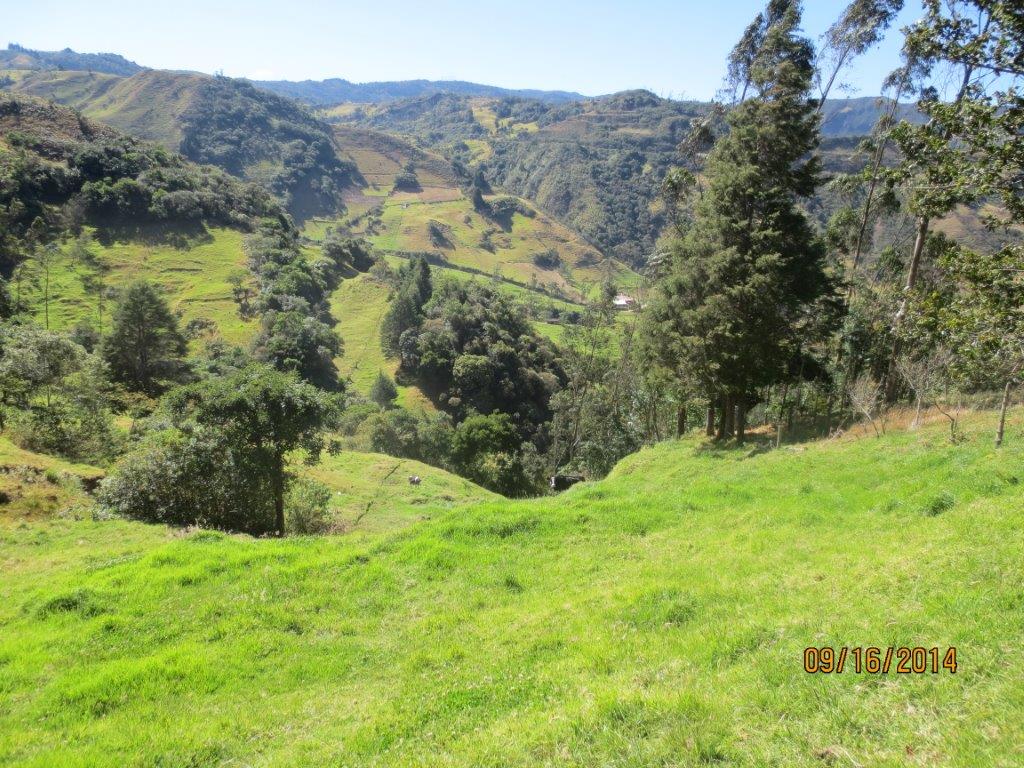 Beautiful 4 hectares irrigated land just outside Giron – SOLD - Ecuador ...