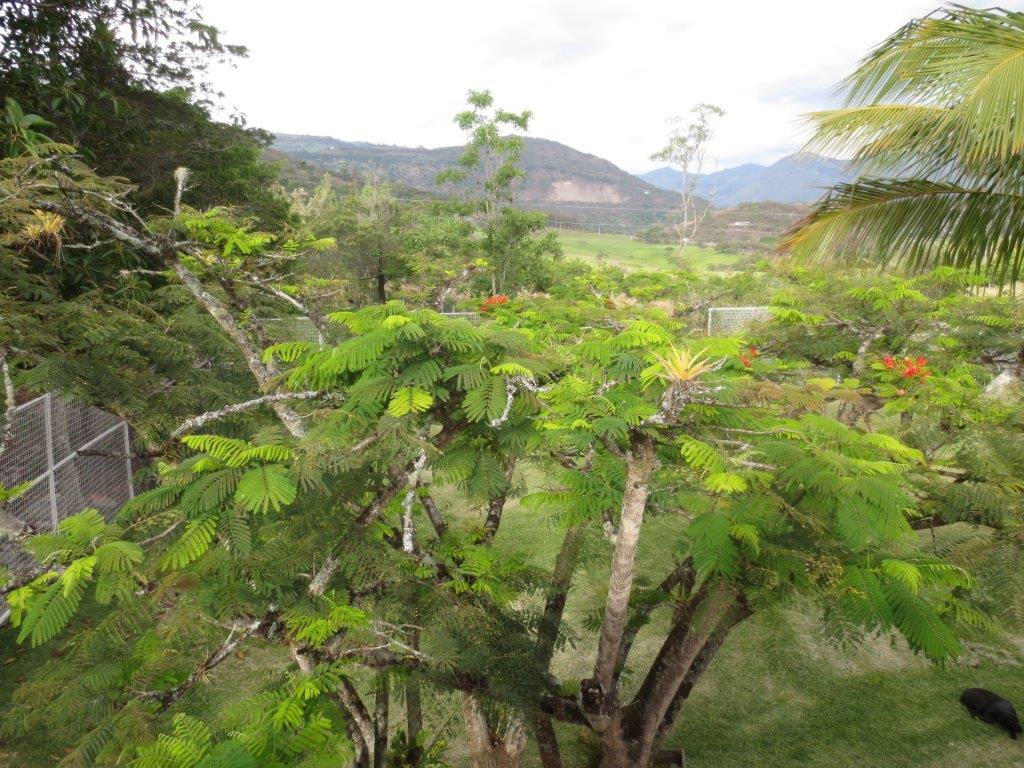 700 square meters of construction on 2.5 hectares - Ecuador Real Estate ...