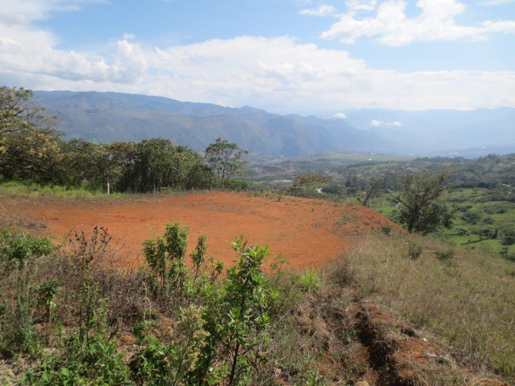 7 Hectare Land with Nutrient Rich Soil, Perfect for Development and ...