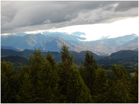 Off Grid Homestead with 2 One-bedroom 2-bath Santa Fe Style Homes ...