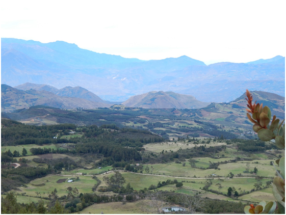 Off Grid Homestead with 2 One-bedroom 2-bath Santa Fe Style Homes ...